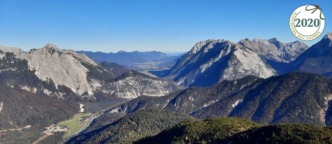 The presence of elk in Austria - Naturpark Karwendel Tirol ⛰️