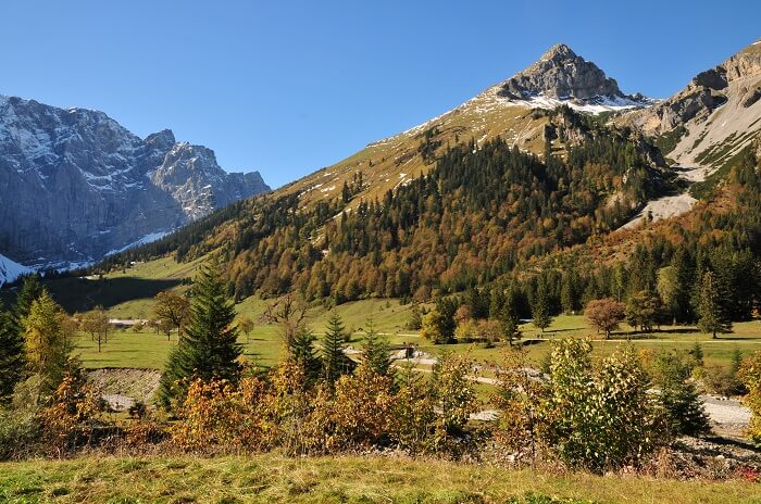 Naturwaldreservat Engalm - Naturpark Karwendel Tirol ⛰️